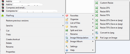 FilerFrog: Windows Explorer plugin to manage files easily